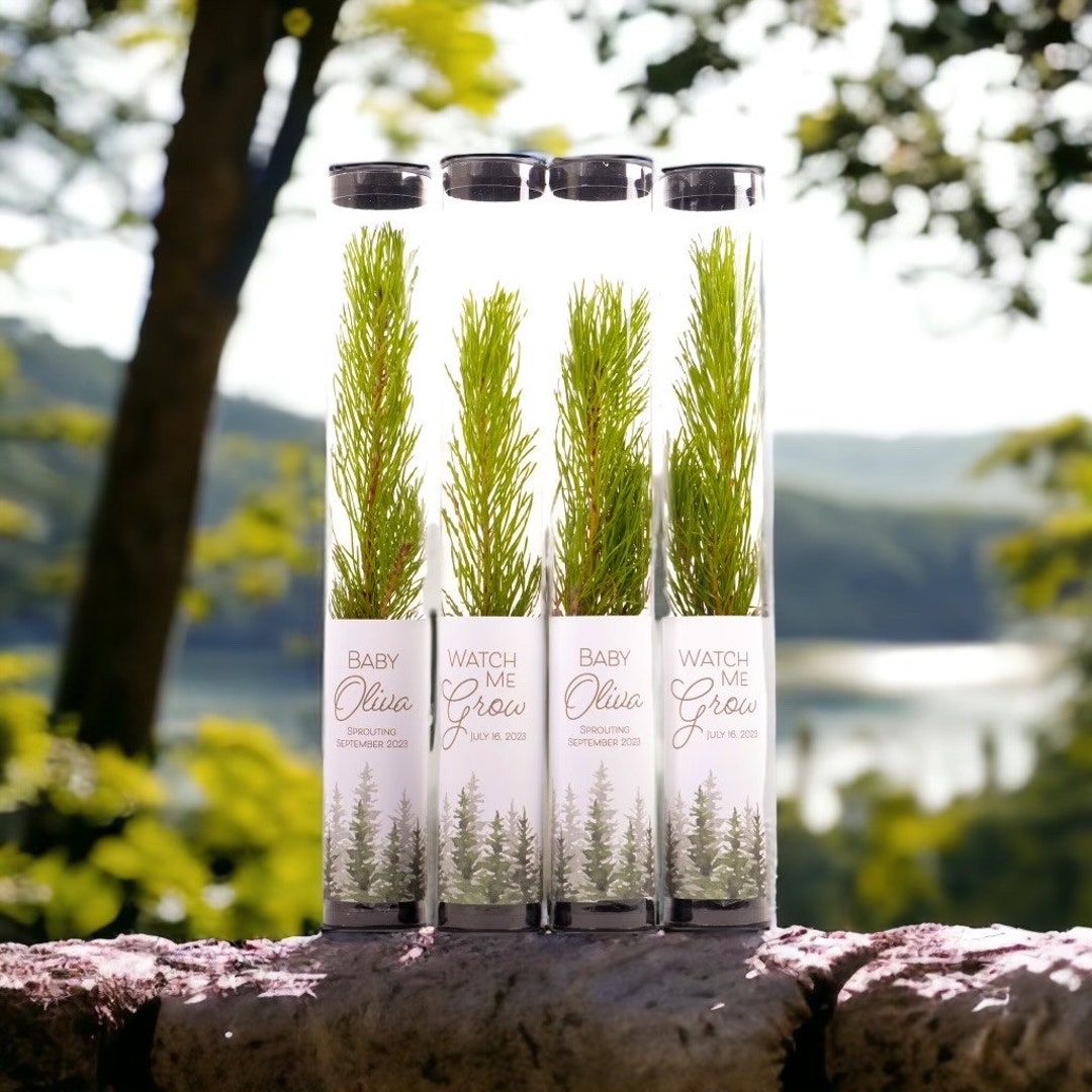 Watch Me Grow Baby Shower Tree Favor | Favors for Baby Shower | Gift ...