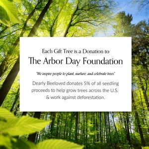 Gift Tree Favor | Pine Seedling | Seedling Gift | ESG Gift | Employee ...