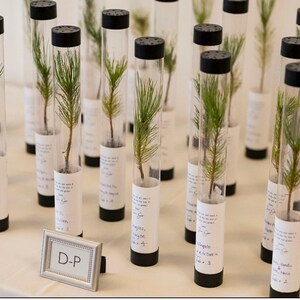 Watch Me Grow Baby Shower Tree Favor | Favors for Baby Shower | Gift ...
