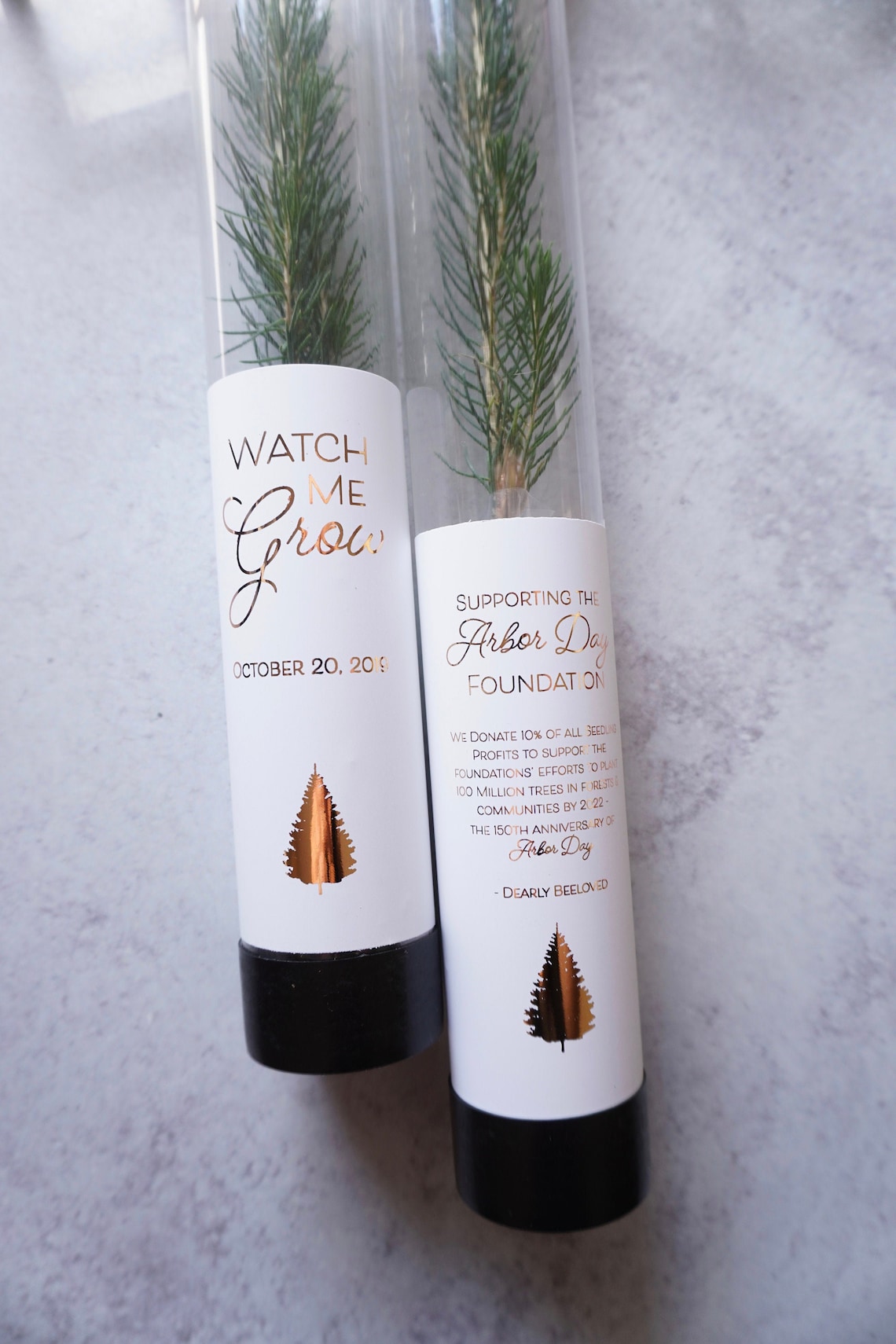 Baby Shower Favors Gift Tree Favor Seedling Shower Favor - Etsy