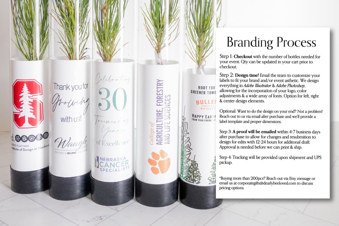 Gift Tree Favor Pine Seedling Seedling Gift ESG Gift - Etsy