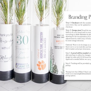 Gift Tree Favor Pine Seedling Seedling Gift ESG Gift - Etsy