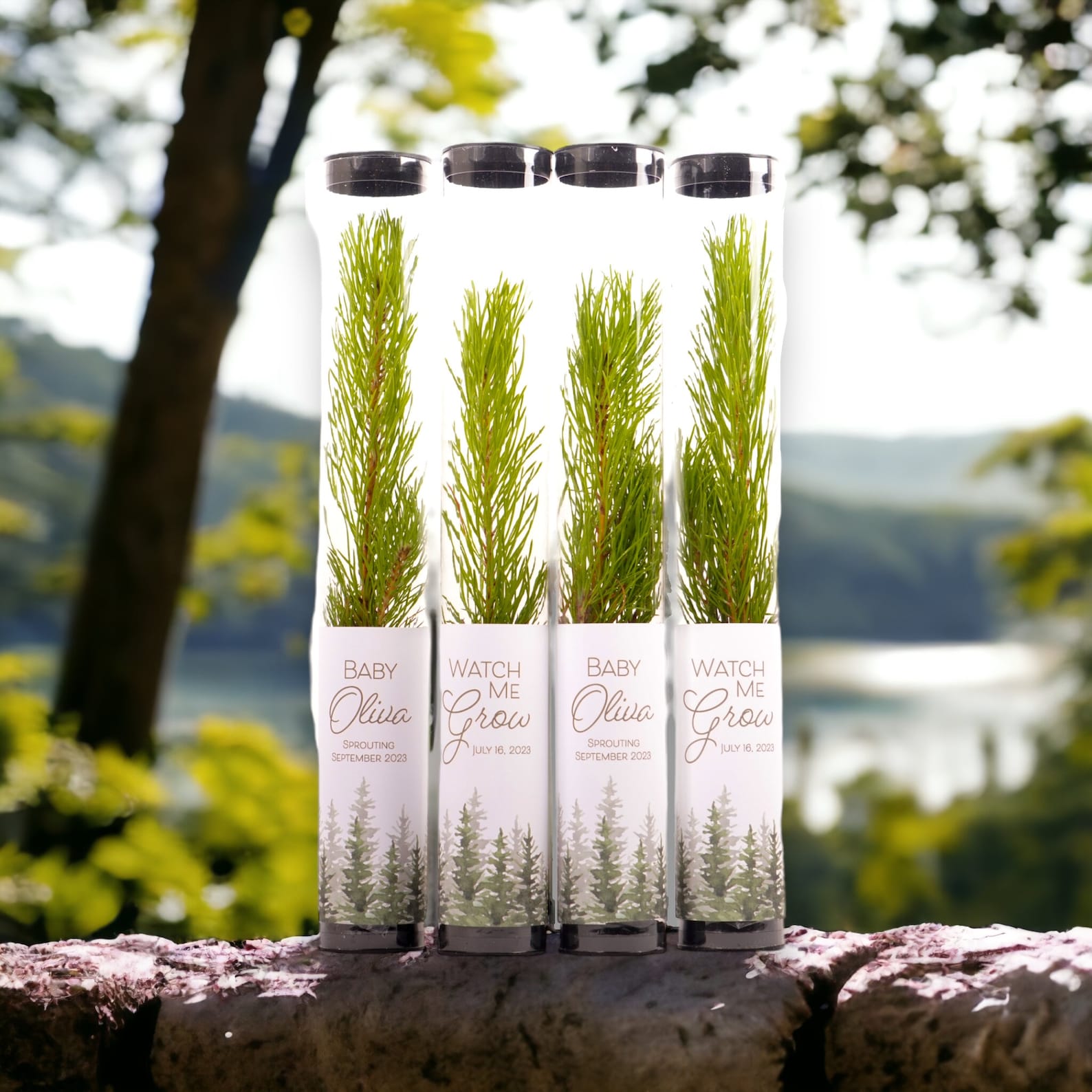 Baby Shower Favors Gift Tree Favors Seedling Shower Favor Sprinkle ...