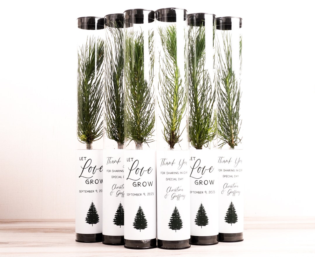 Let Love Grow Wedding Favor | Pine Tree Wedding Favor | Gift Tree ...