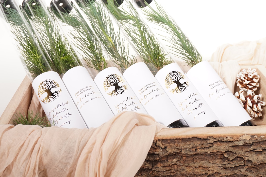 In Loving Memory | Sympathy Seedlings | Sympathy Trees | Funeral ...