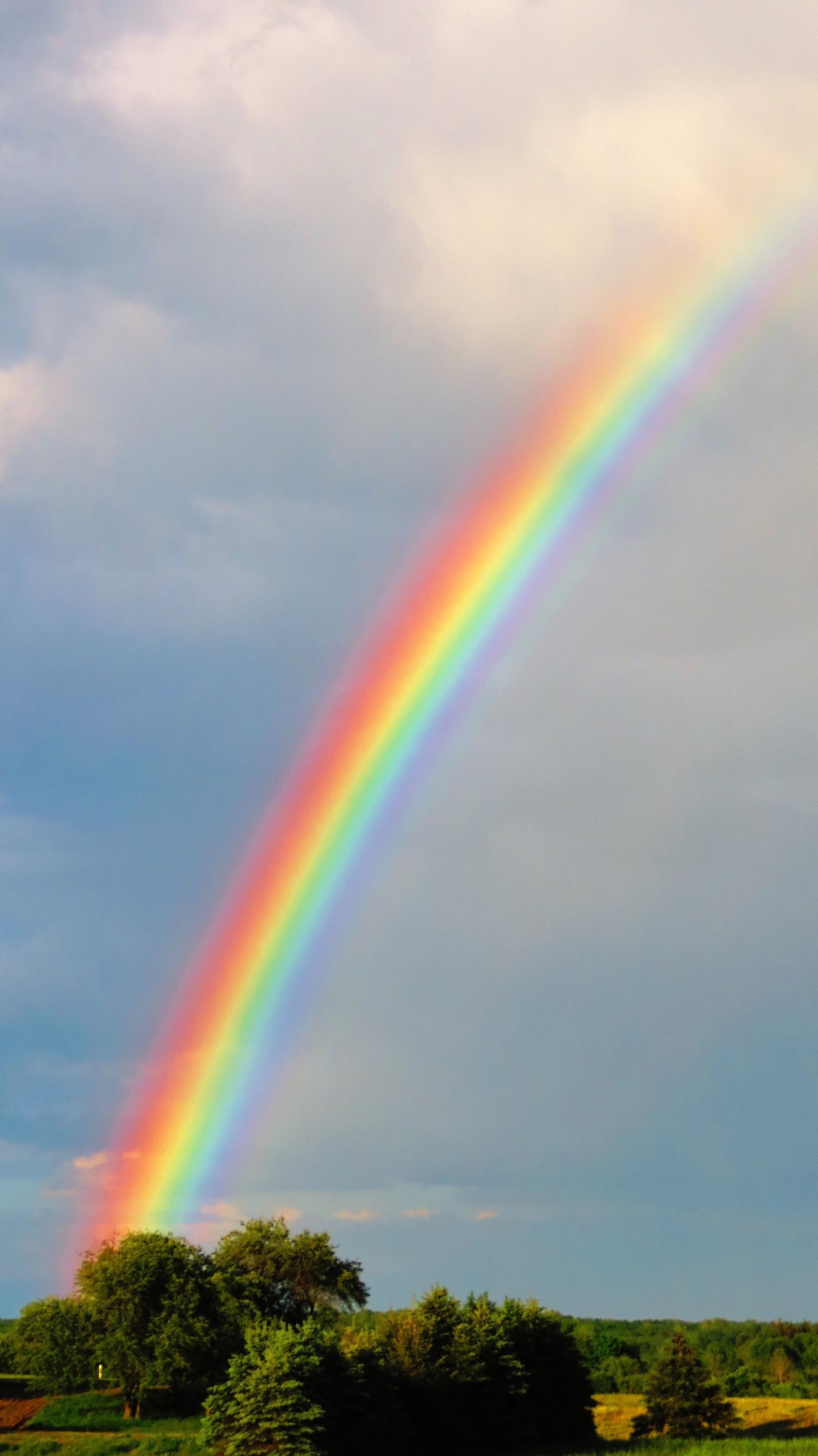 Rainbow Over the Field Horizon, Bright Multi Colored Sky Photo, Digital ...