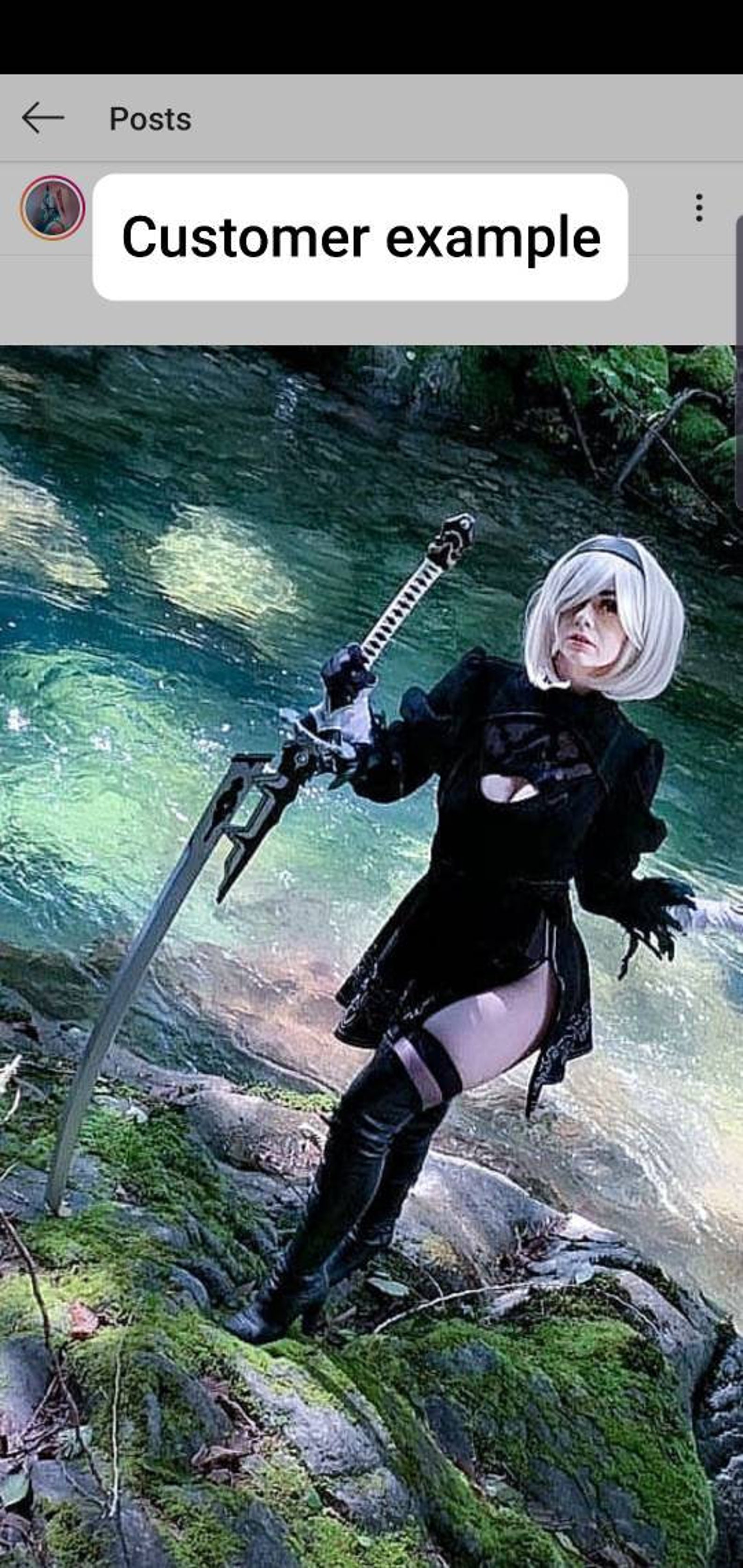 Virtuous Treaty / Cruel Blood Oath 3D Kit From Nier Automata - Etsy