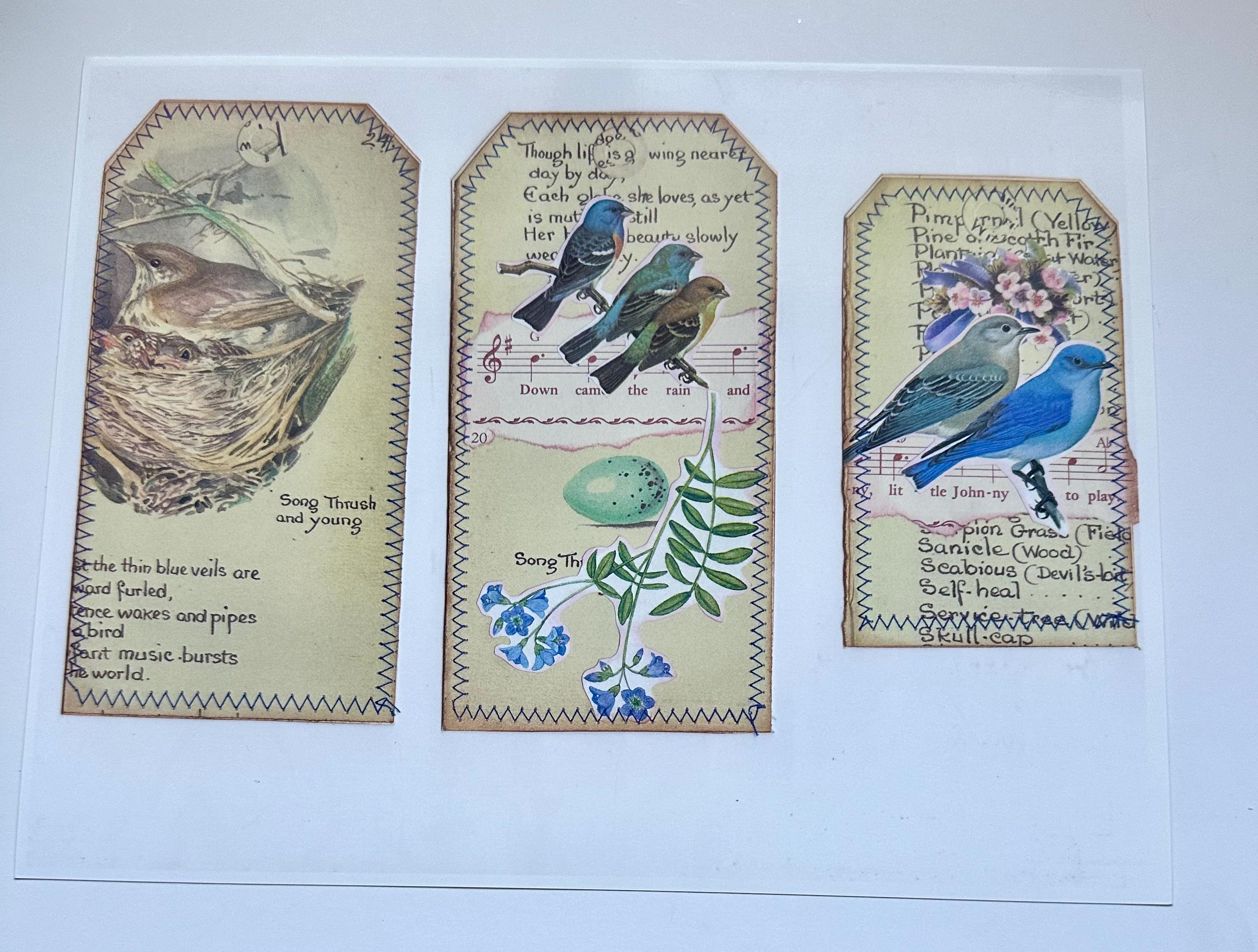 Digital Edith Holden Tags , Edith Holden Printable, Bird Tags, Flower ...