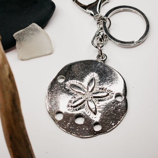 Sand Dollar Seashell - Etsy