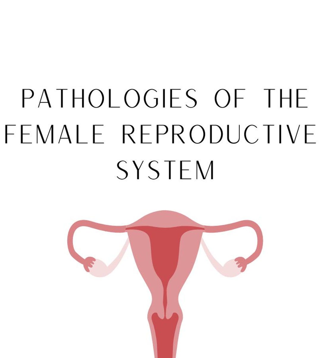 Female Reproductive Pathologies - Digital PDF Guide - Etsy