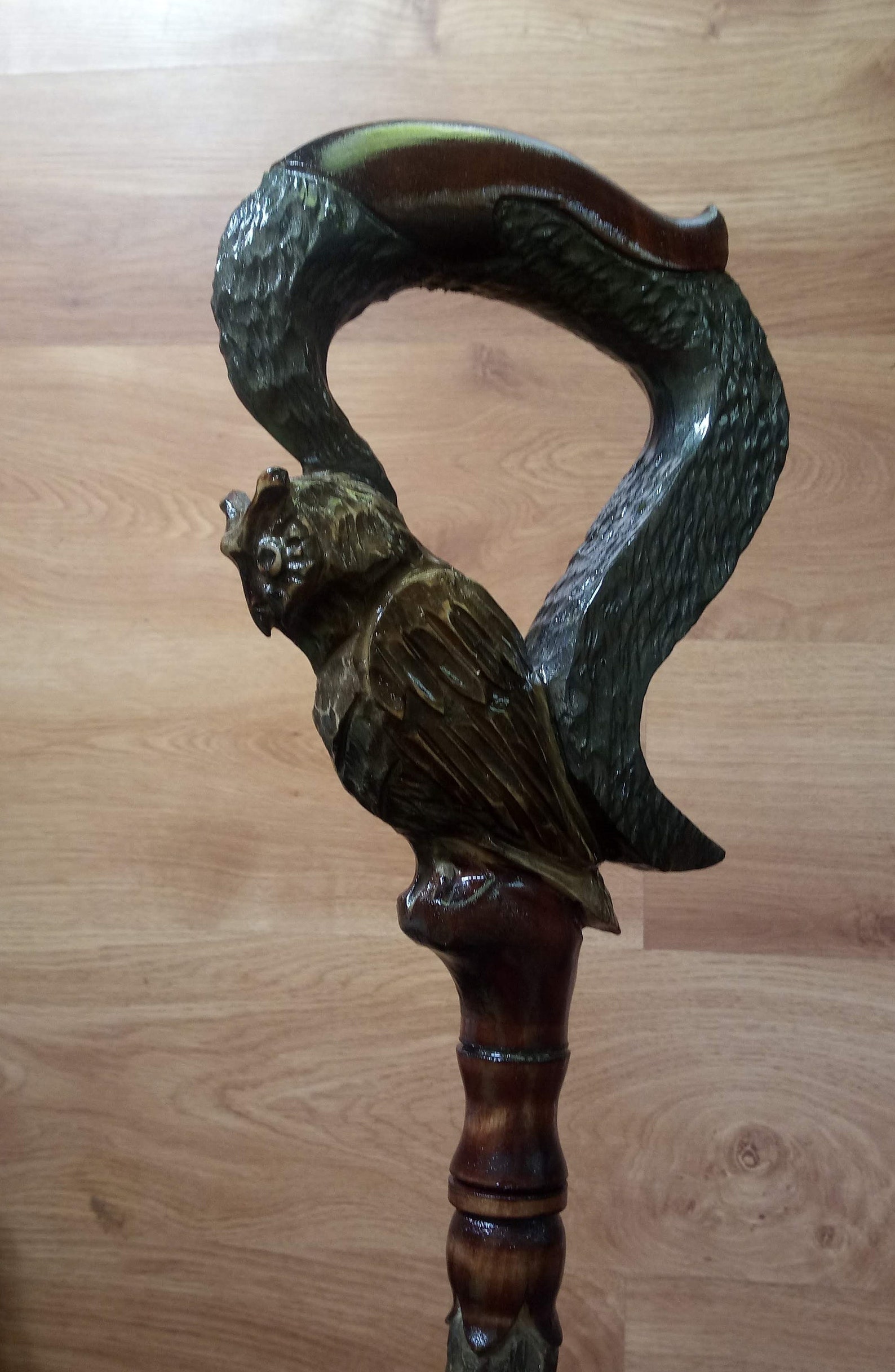 Raven Walking Cane Raven Black Walking Stick Owl Walking Cane - Etsy