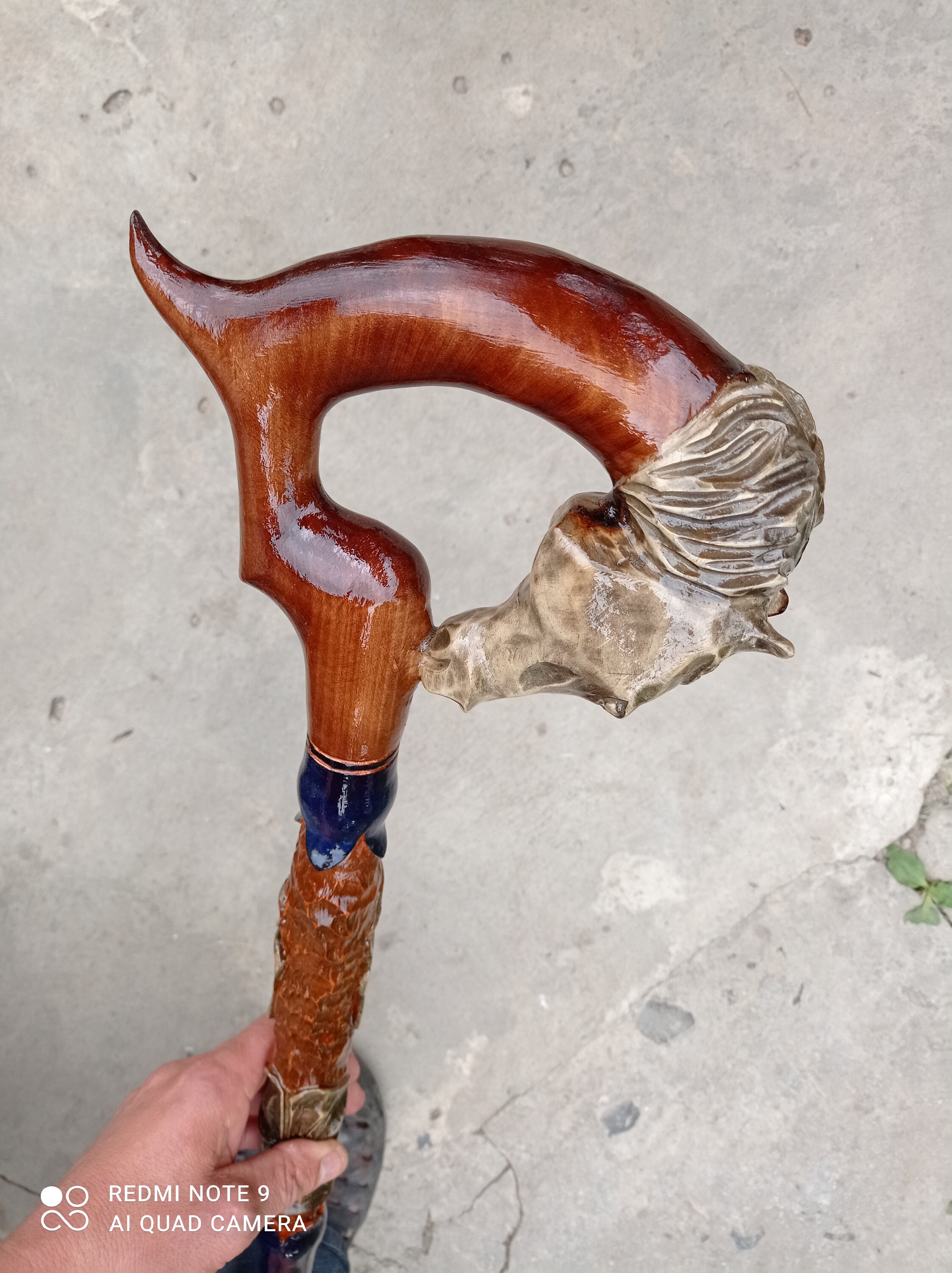 Hand Carved Walking Sticks Walking Sticks for Hiking Unique Walking ...