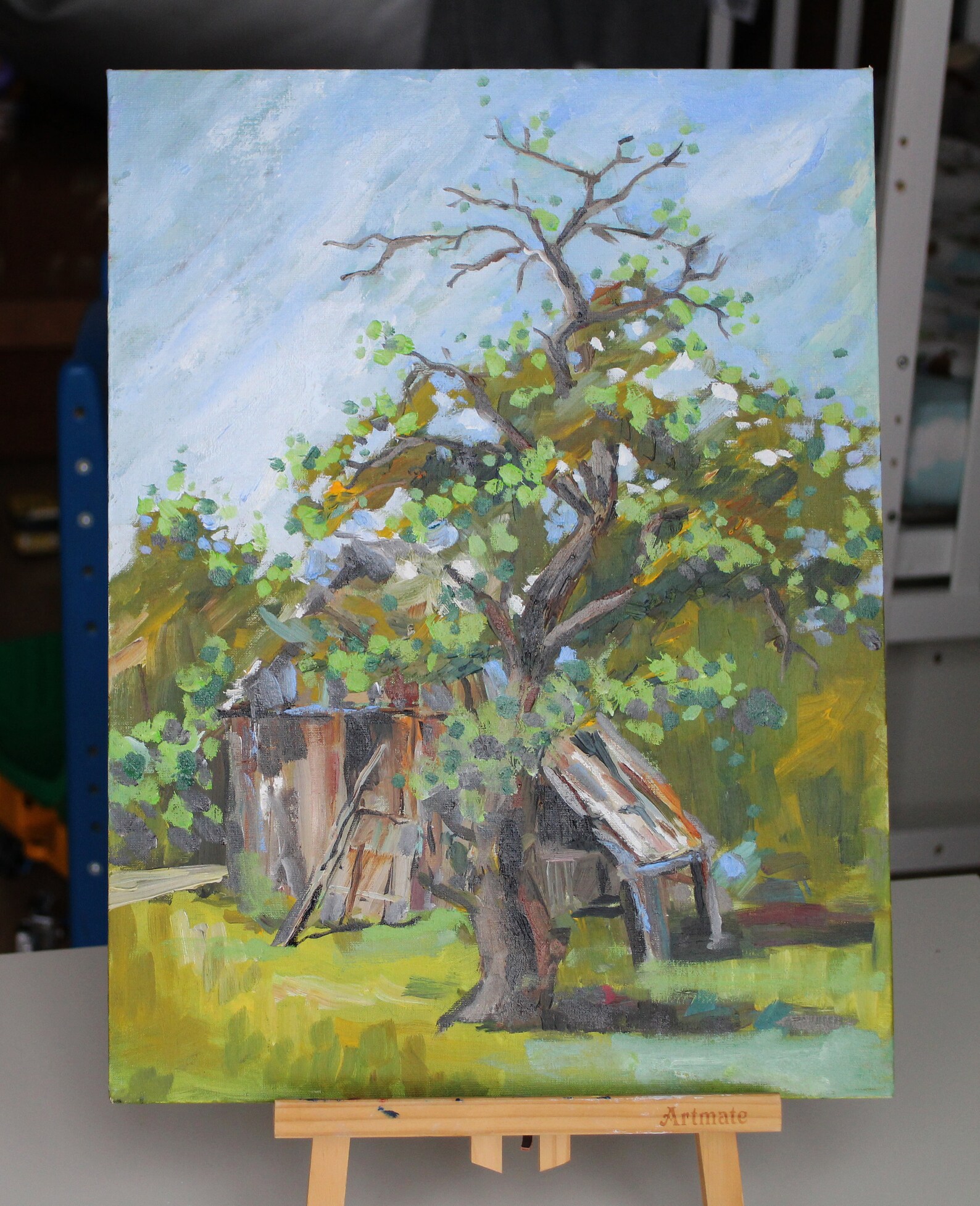 Original Oil Painting Old Tree Landscape Oil Painting Meadow - Etsy