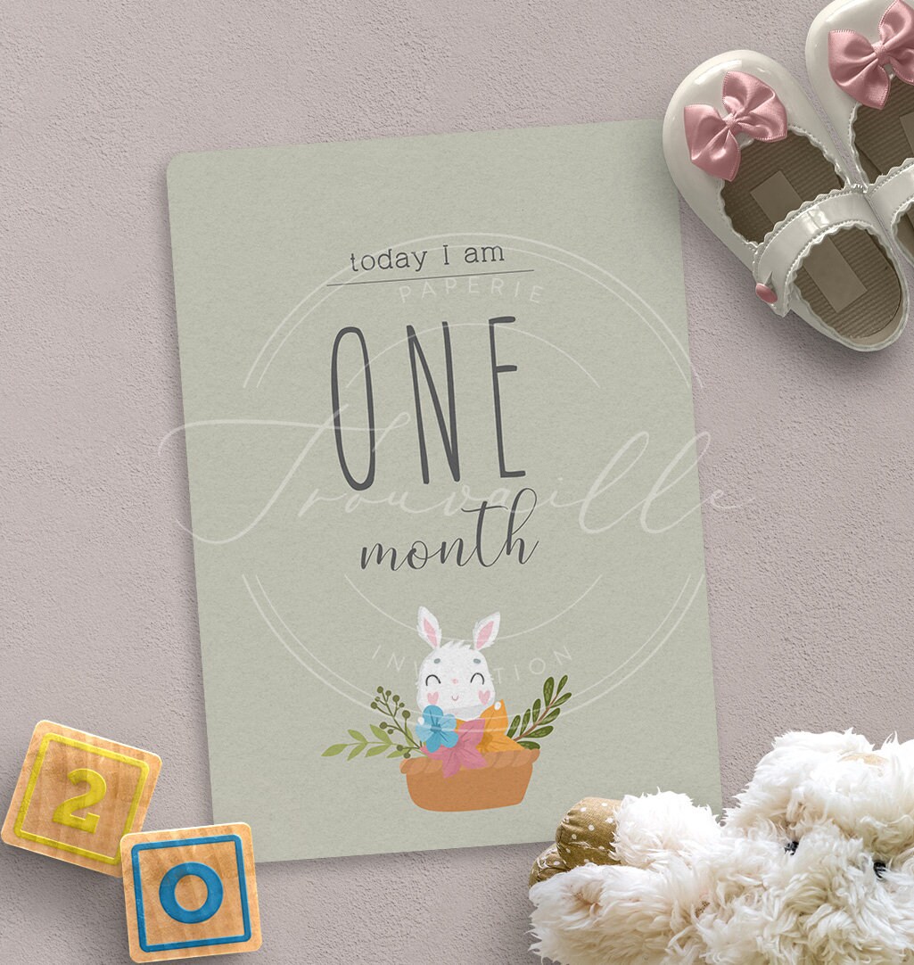 Spring Bunny Baby Milestone Cards Baby Milestone Baby | Etsy