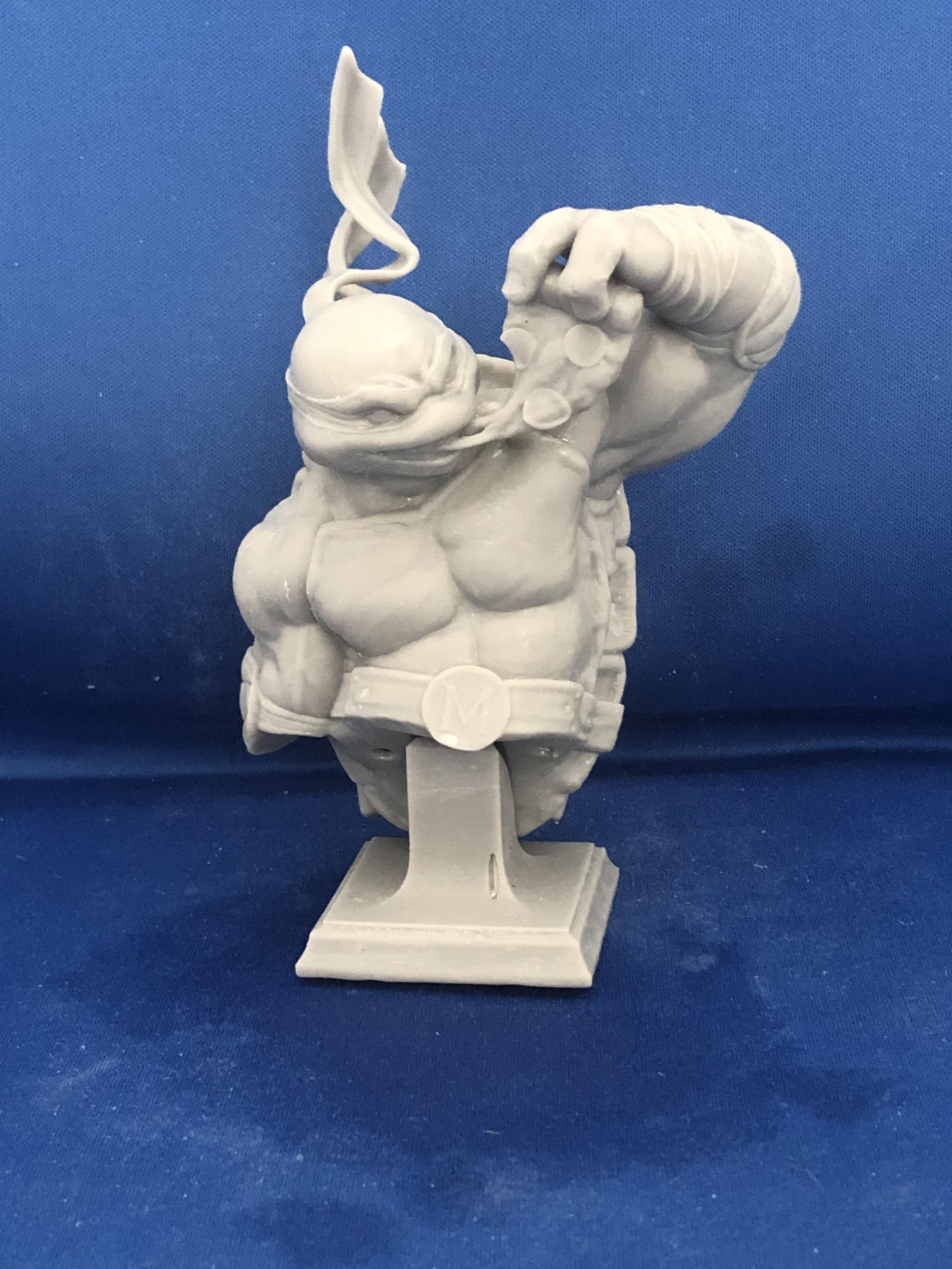 Teenage Mutant Turtles Resin Model Busts set of 4 - Etsy