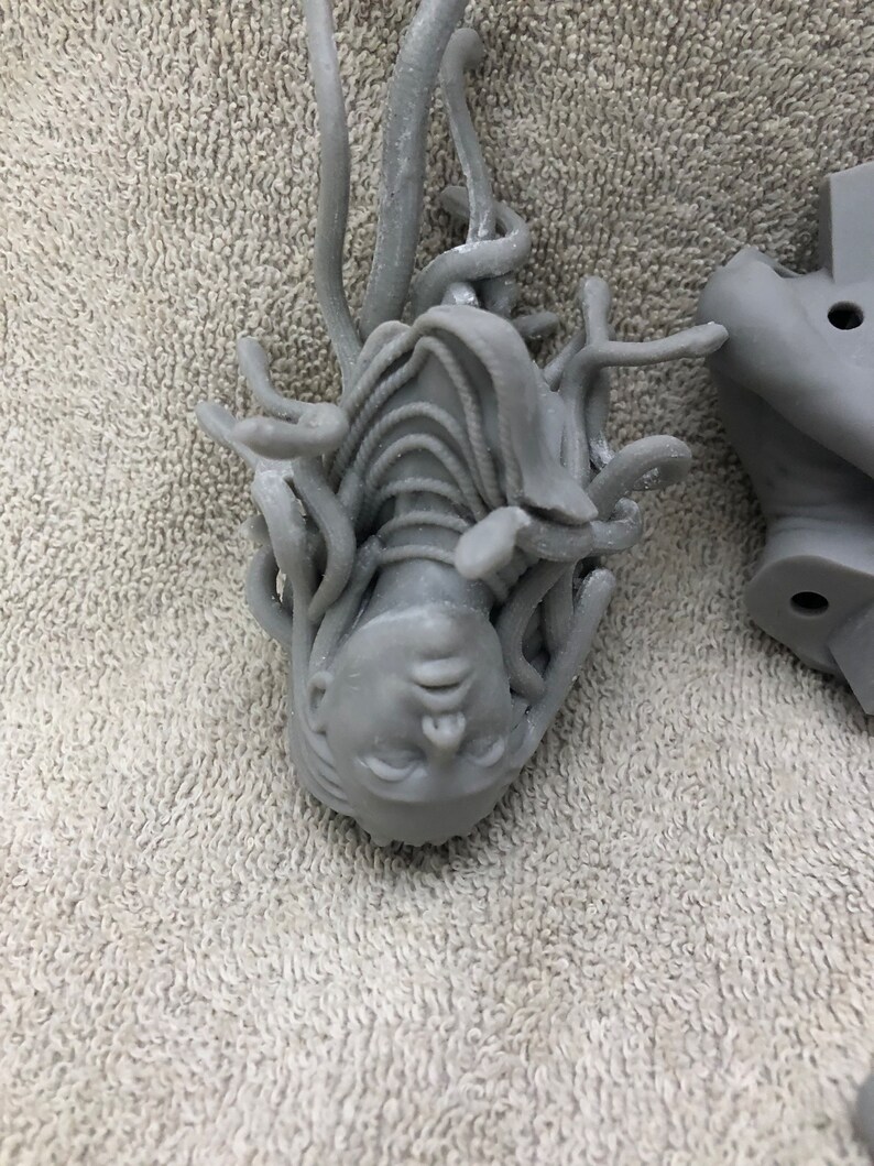 Hunt for Medusa 1/6 Scale Resin Model Diorama sexy Female - Etsy