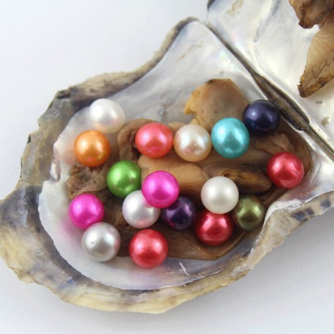 2 PCS Akoya Oysters With 10 Rainbow Colored Round 6-8mm AAAA - Etsy
