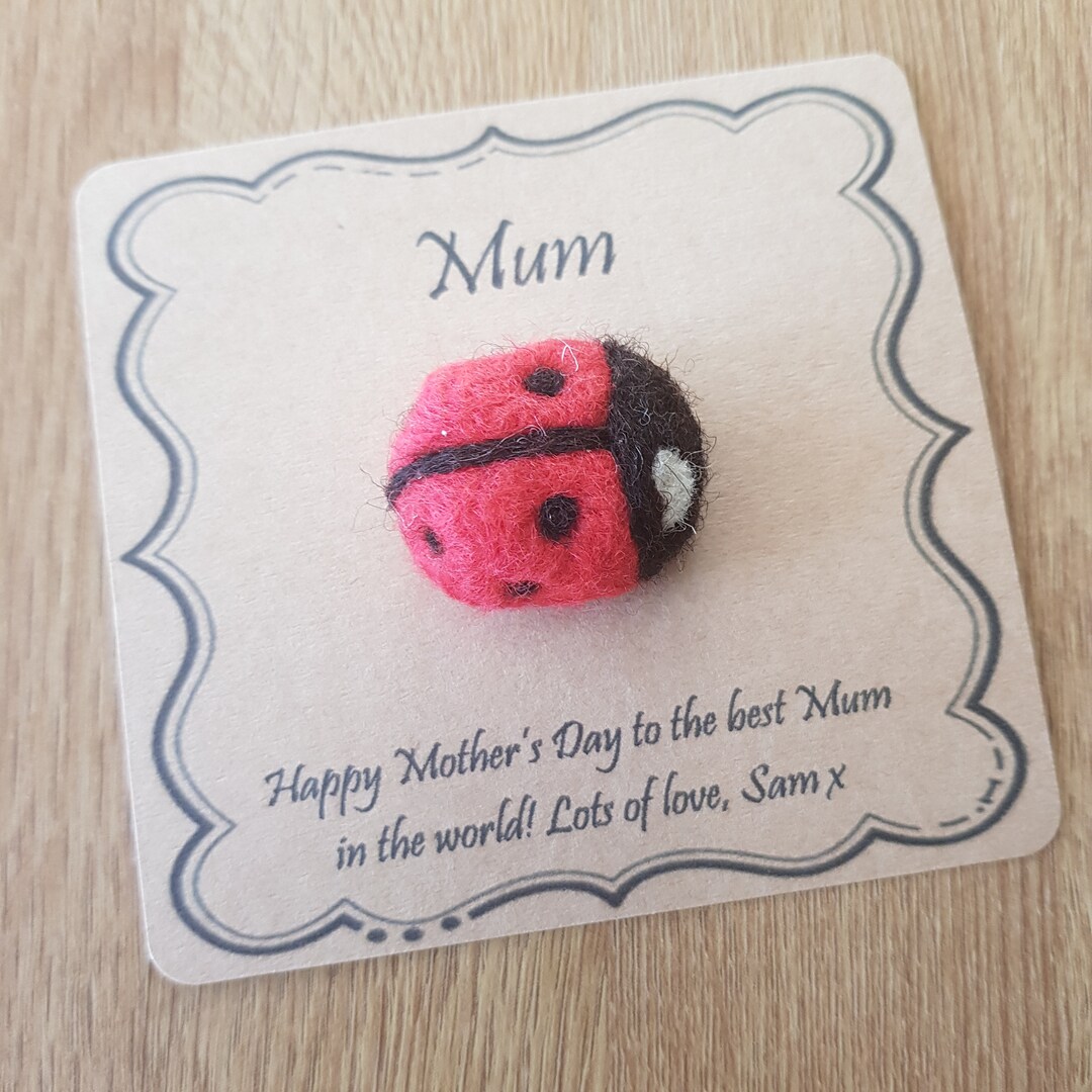 Personalised Mothers Day Gift Needle Felted Ladybird Brooch, Handmade ...
