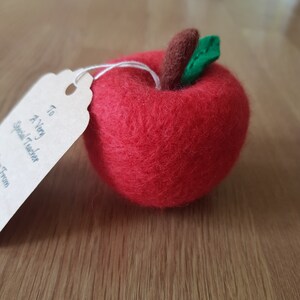 Needle Felted Apple Teacher Gift, End of Term Apple Ornament, Red ...