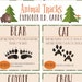 Science Animal Tracks ID Printable - Flash Cards for Learning ...