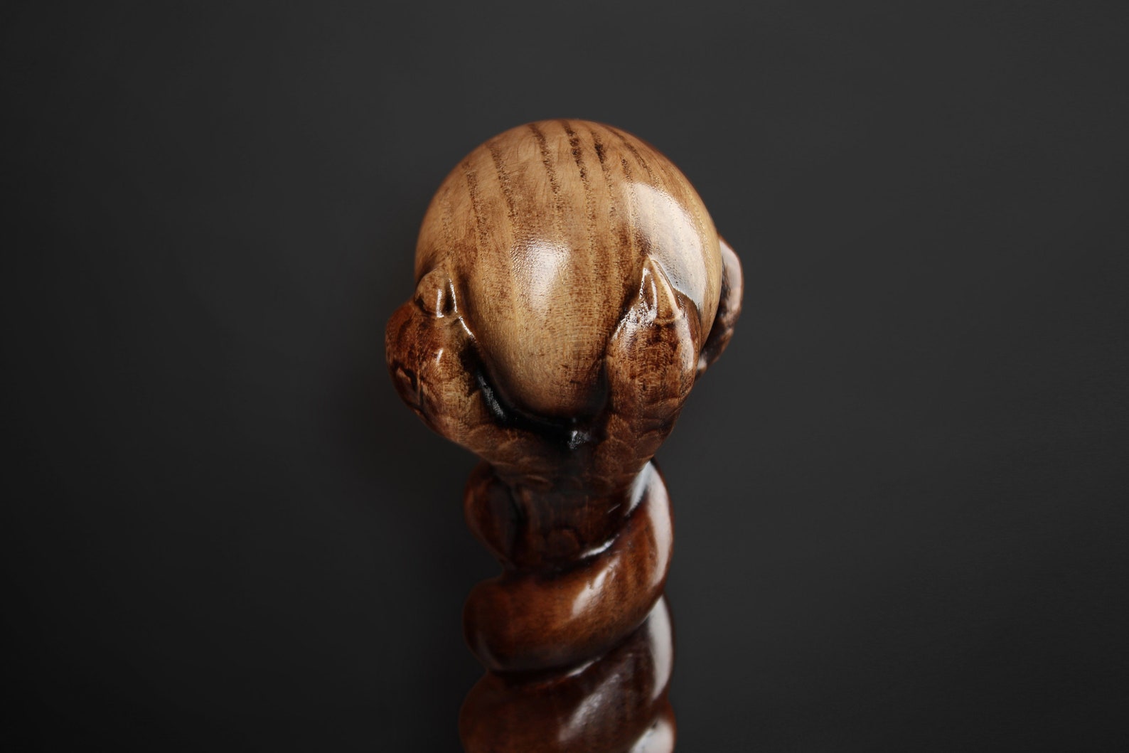 Fancy Walking Stick for Men Gesigner Walking Canes Custom Cane - Etsy