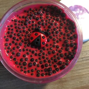 Ladybug Thick Slime - Etsy