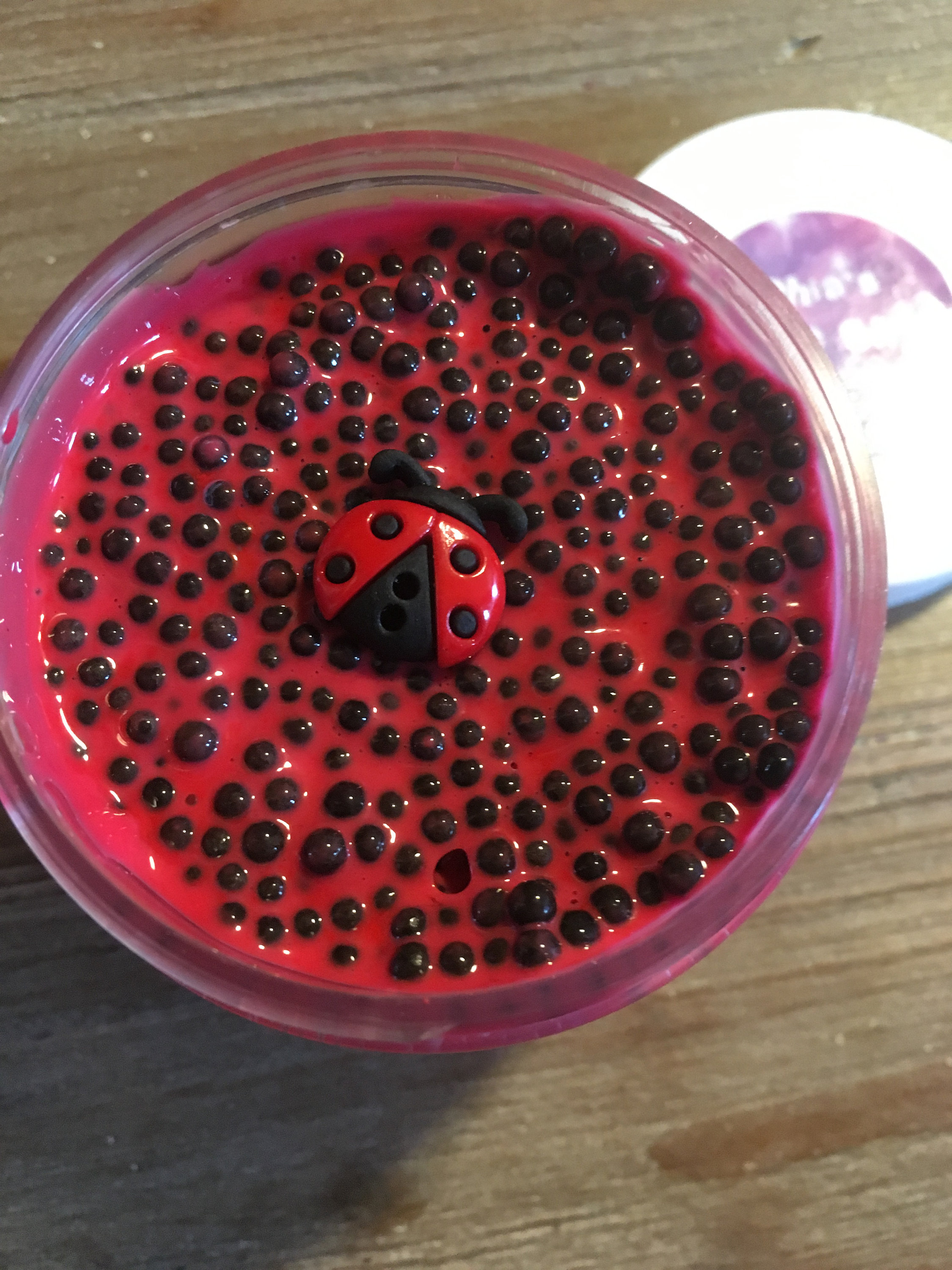 Ladybug Thick Slime - Etsy