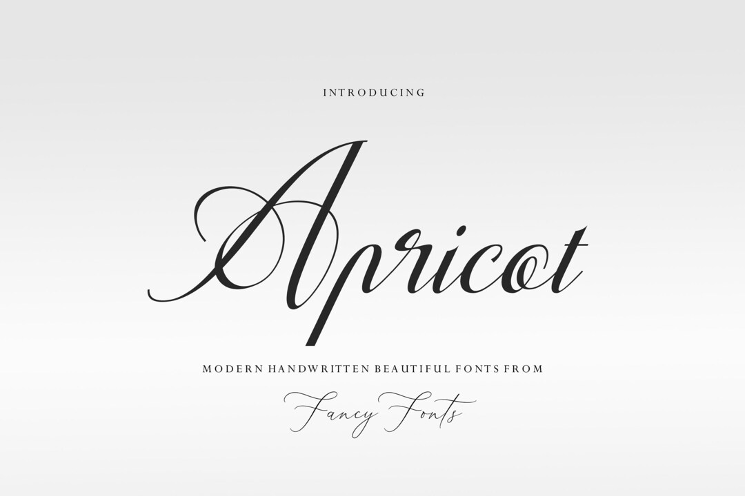 Apricot Calligraphy Font: Modern Script, Wedding & Logo Design (TTF ...