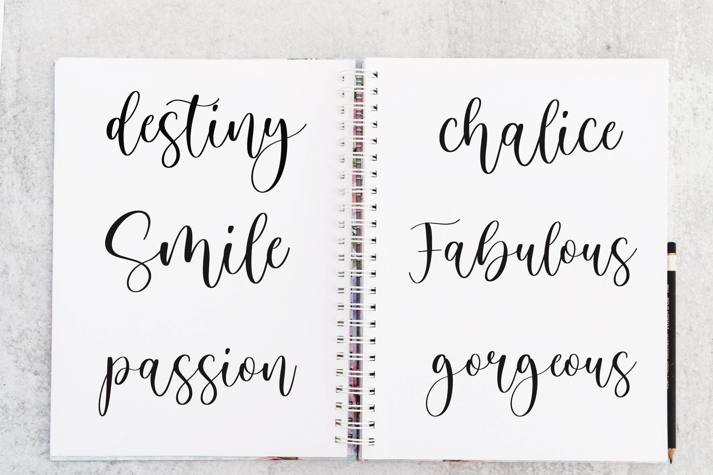 Batcher Script Font: Modern Calligraphy, Cricut & Canva Font (digital ...