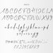 Felicita Script Font: Modern Handwritten Cursive (TTF File) - Etsy