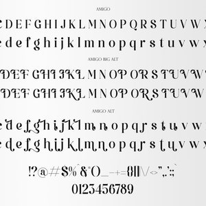 Amigo Font: Modern Serif Font for Cricut, Logo & Branding (TTF, Digital ...