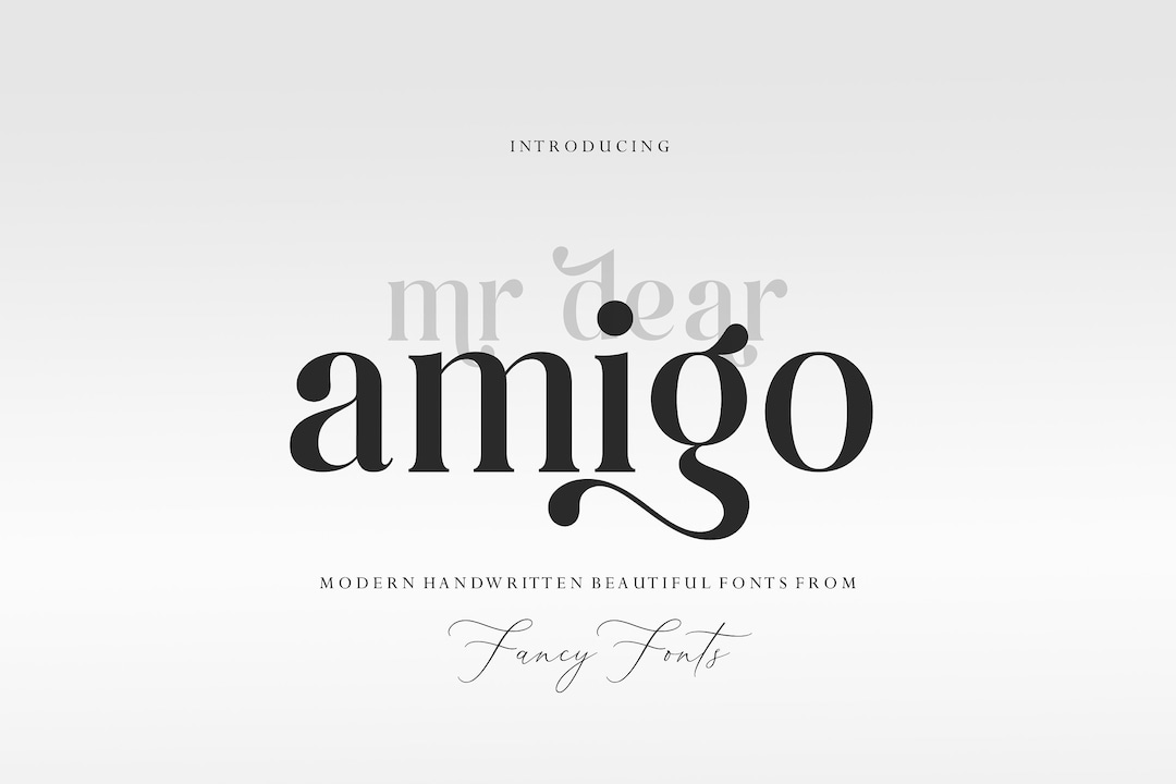 Amigo Font: Modern Serif Font for Cricut, Logo & Branding (TTF, Digital ...
