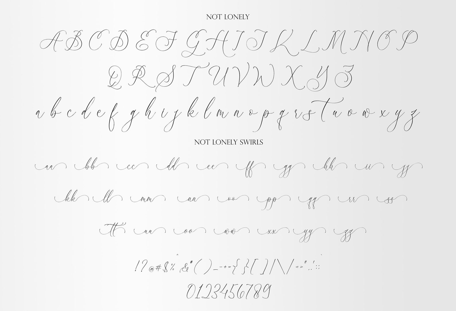 Calligraphy Font: Modern Handwritten Font for Cricut & Canva (digital ...