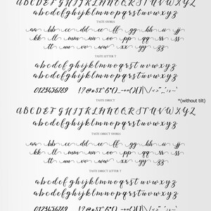 Taste Calligraphy Font: Modern Handwritten Swirly Font (digital ...