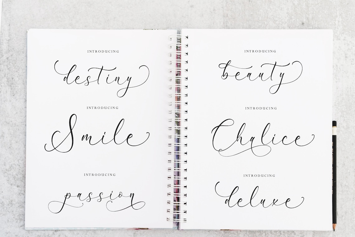 Relax Script Font: Modern Calligraphy, Wedding & Logo Design (TTF ...