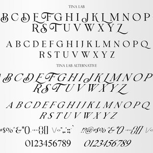 Tina Lab Serif Font, Modern Swash Font (TTF) - Etsy