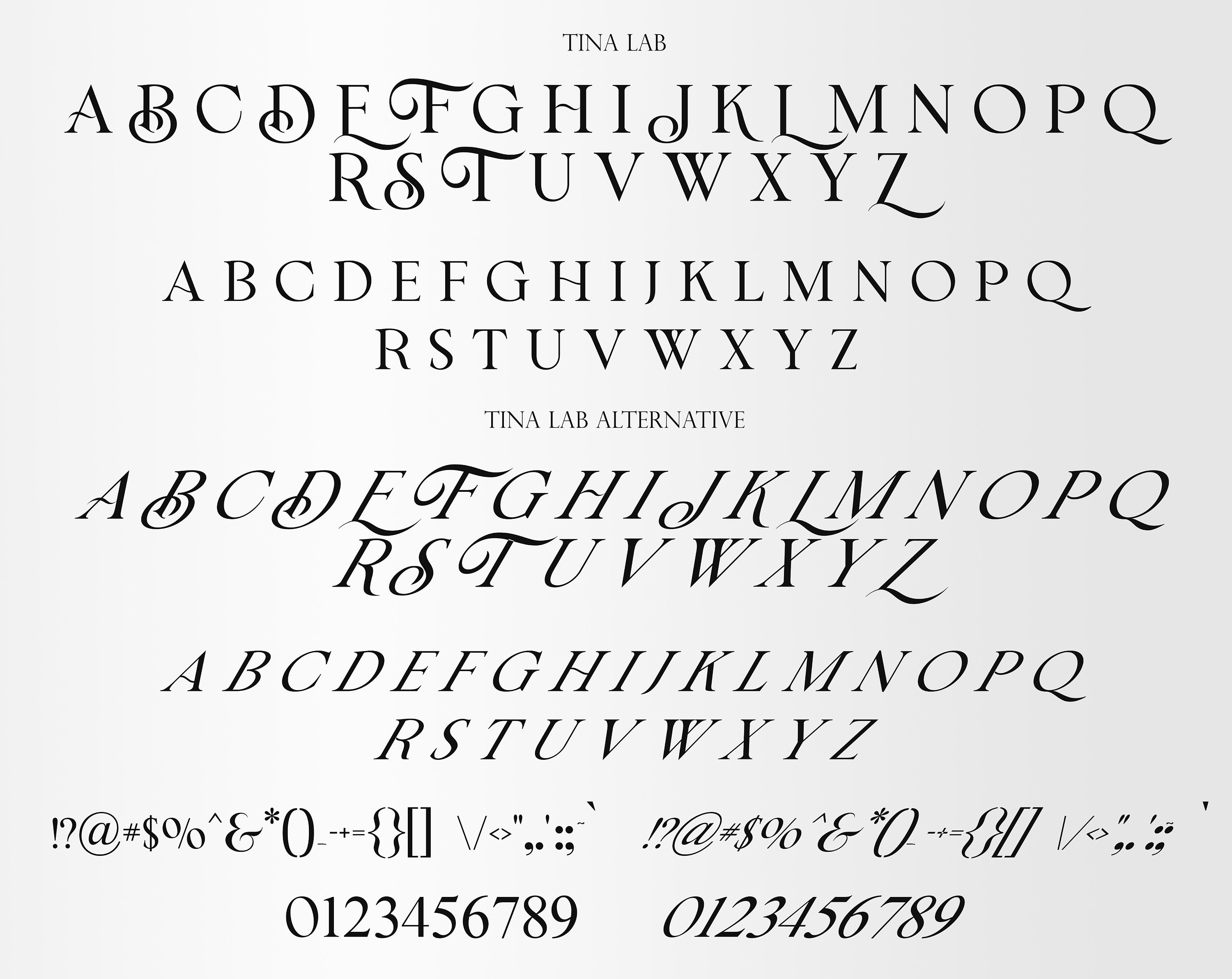 Tina Lab Serif Font, Modern Swash Font (TTF) - Etsy