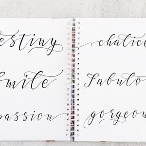 Beatrice Script Font: Modern Calligraphy Font With Tails (digital ...