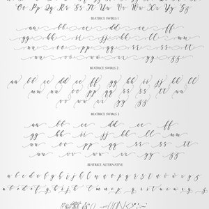 Beatrice Script Font: Modern Calligraphy Font With Tails (digital ...