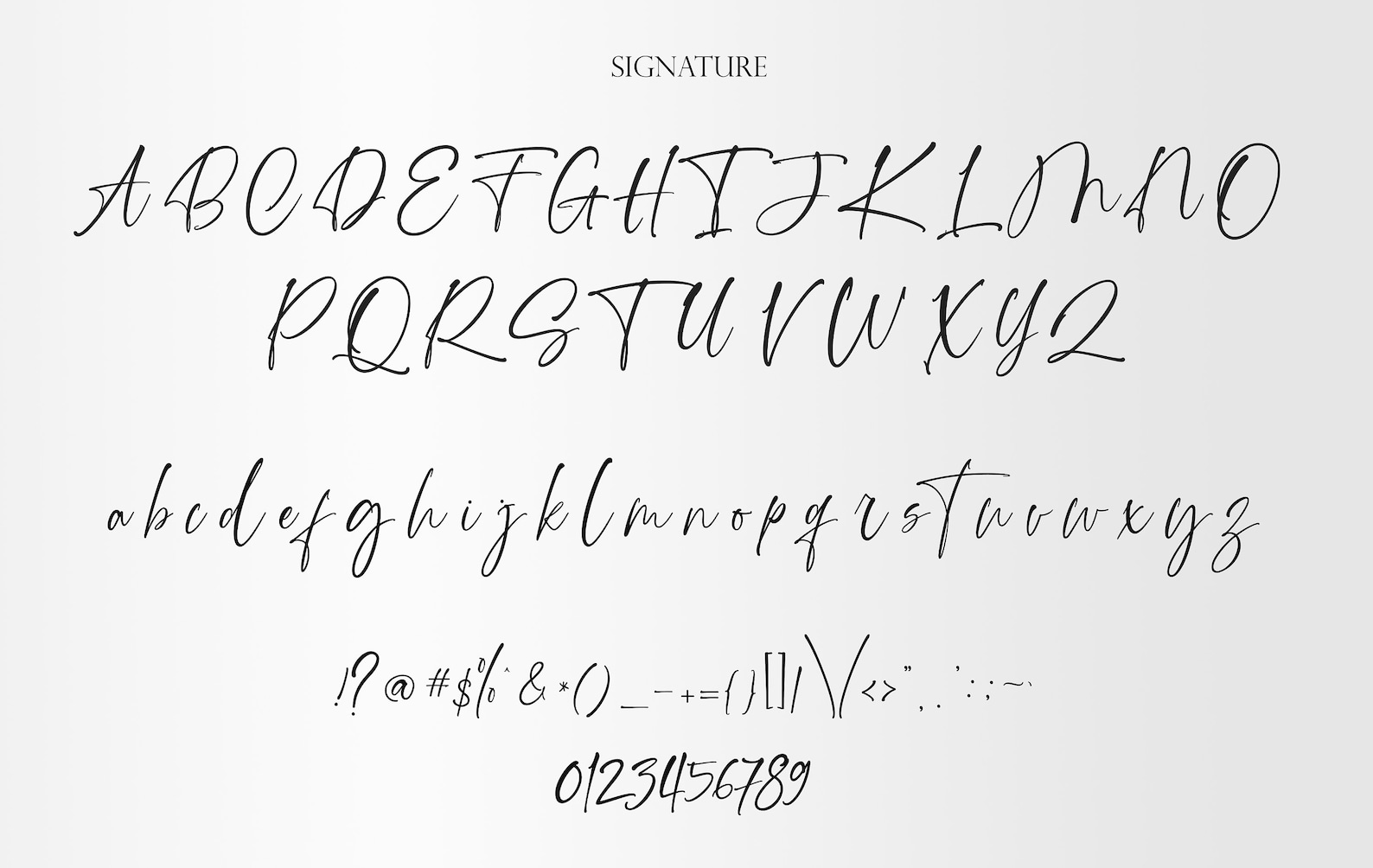 Calligraphy Signature Font: Modern Script for Cricut & Logo (TTF ...