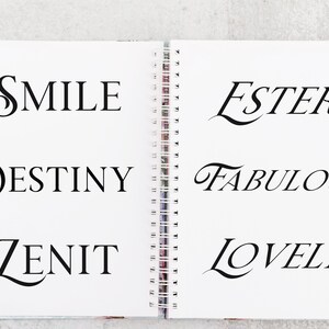 Tina Lab Serif Font, Modern Swash Font (TTF) - Etsy