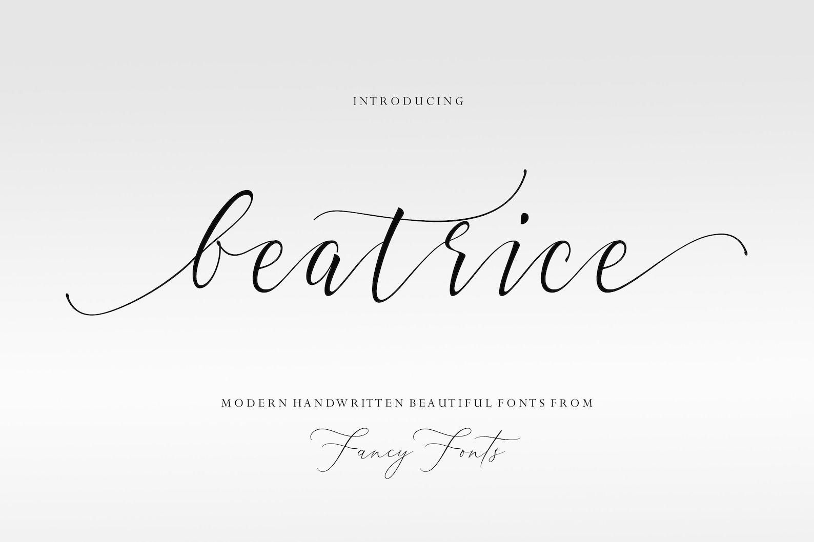 Beatrice Script Font: Modern Calligraphy Font With Tails (digital ...