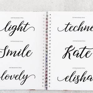 Taste Calligraphy Font: Modern Handwritten Swirly Font (digital ...