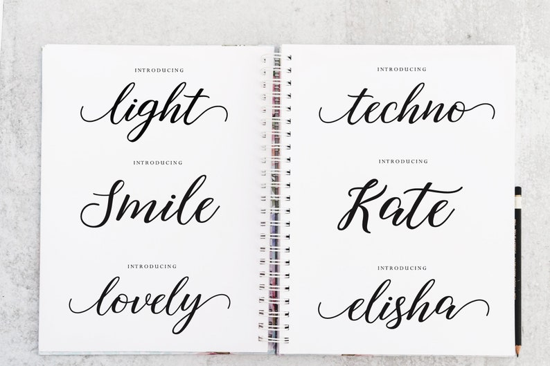 Taste Calligraphy Font: Modern Handwritten Swirly Font (digital ...