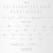Margo Script Font: Modern Calligraphy, Wedding Font (digital Download ...