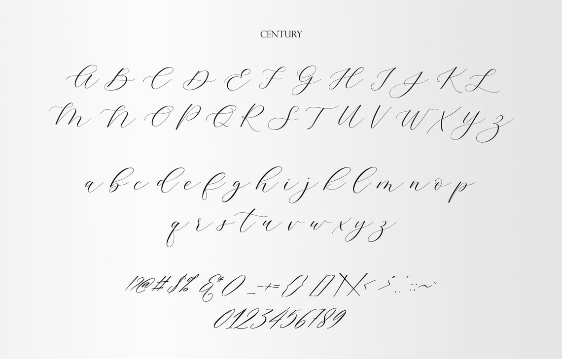 Century Script Font: Modern Calligraphy, Commercial Use (TTF File) - Etsy