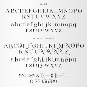 Village Serif Font: Modern Swash Font for Cricut & Canva (TTF) (digital ...