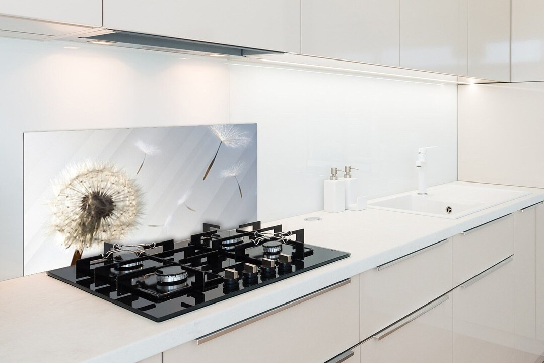 Kitchen Glass Panel, Wall Protector, Dandelion Kitchen Backsplash ...
