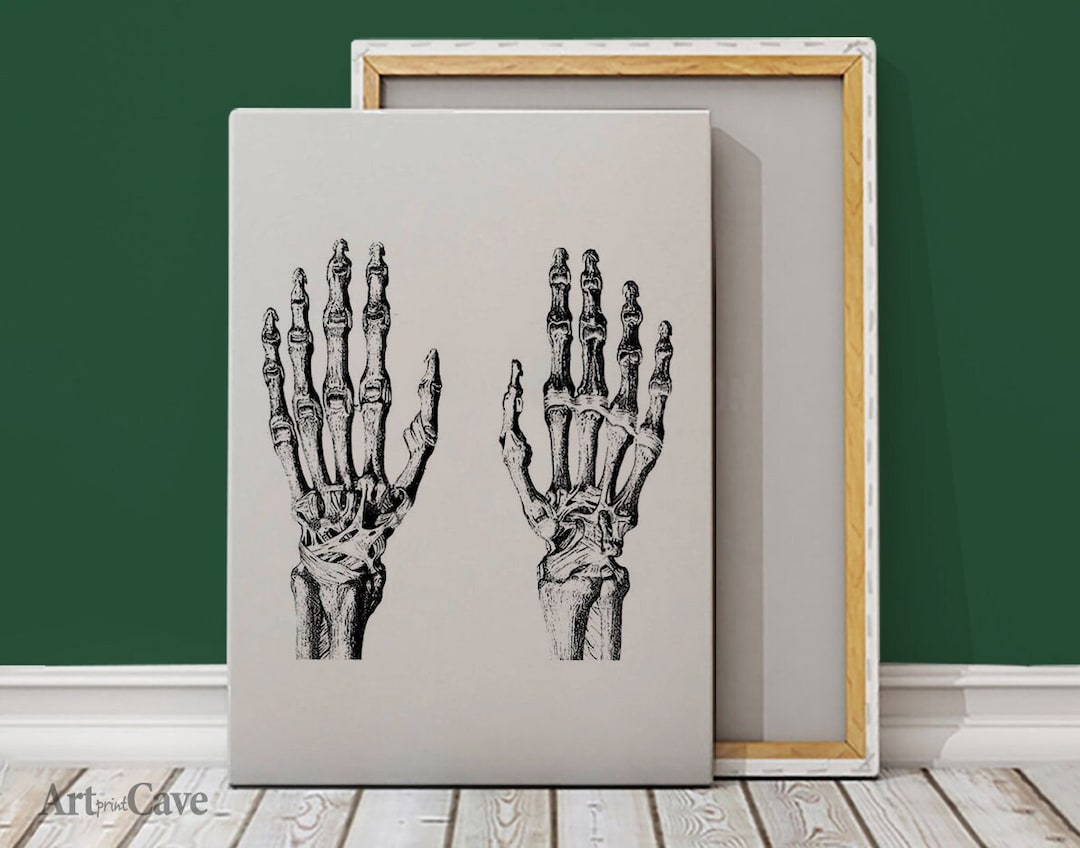 Anatomical Poster Medical Illustration Hands Cotton Canvas, Digital ...