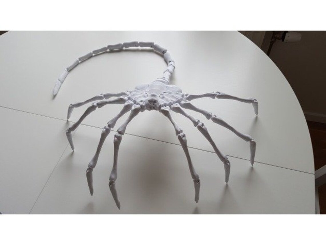 Alien Face Hugger 40 x 23 in LEBENSGRÖßE Cosplay. 3D | Etsy